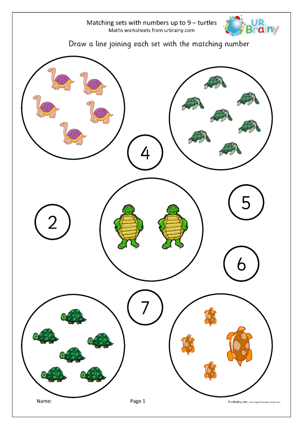 Matching Sets To Numbers Turtles Counting And Matching Maths 