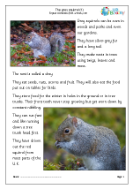 Search Results For “comprehension”