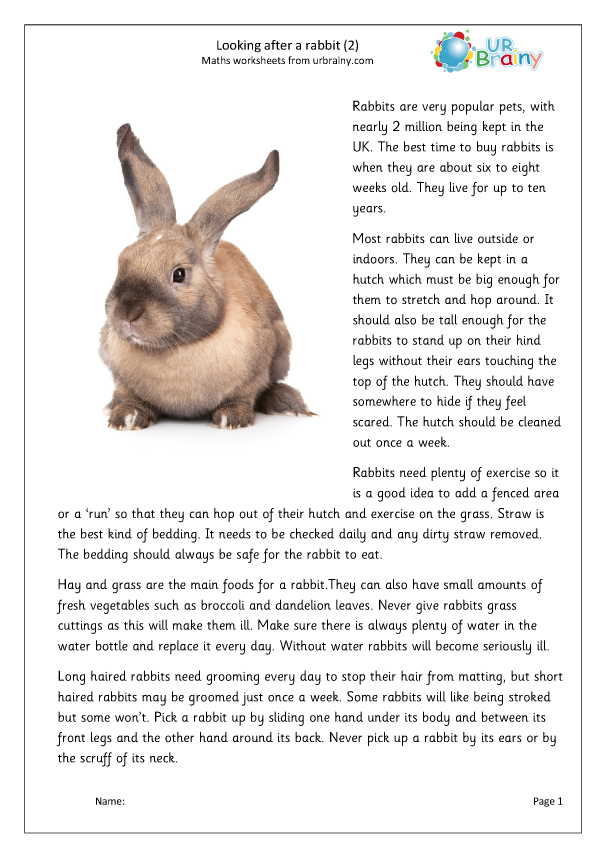 Looking After Rabbits Book at Eva Facy blog