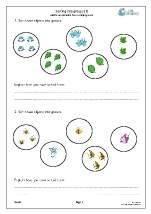 Year 1 Maths Worksheets (age 5-6)